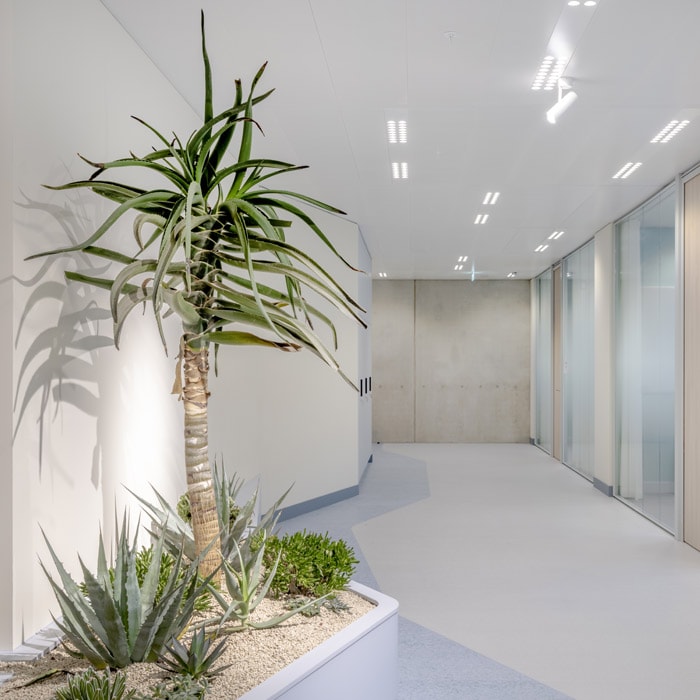 JetBrains - Plan Effect